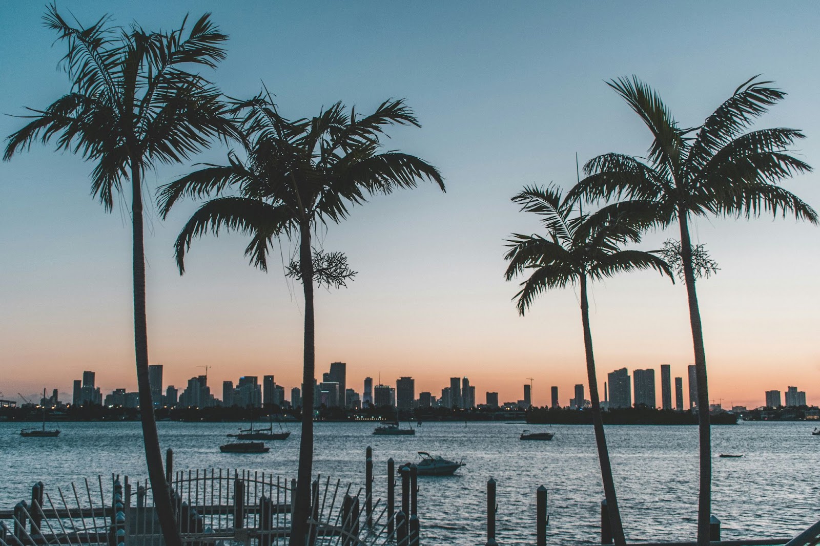 10 Best Florida Gifts and Souvenirs to Take Home - USA Magazine